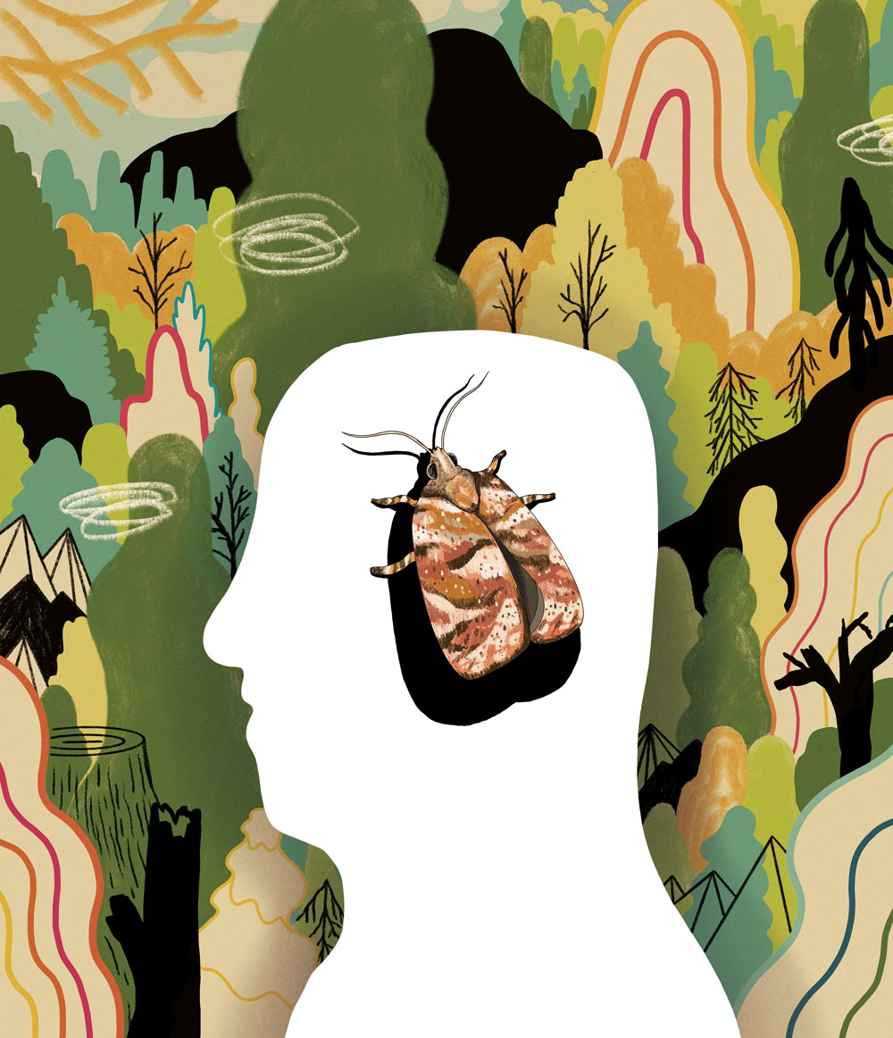 Mark Wang.Illustration