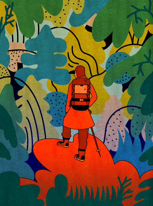 Mark Wang.Illustration