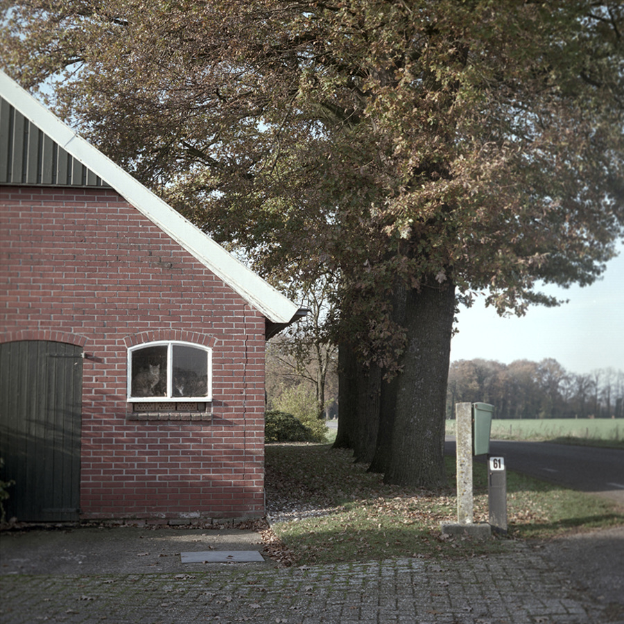 Lattrop-breklenkamp - www.liesbethhofste.com