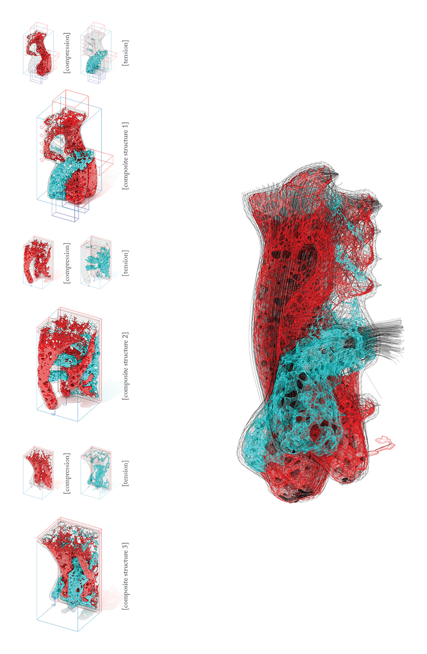 Re-Imaging Tomography - matthewdbmiller