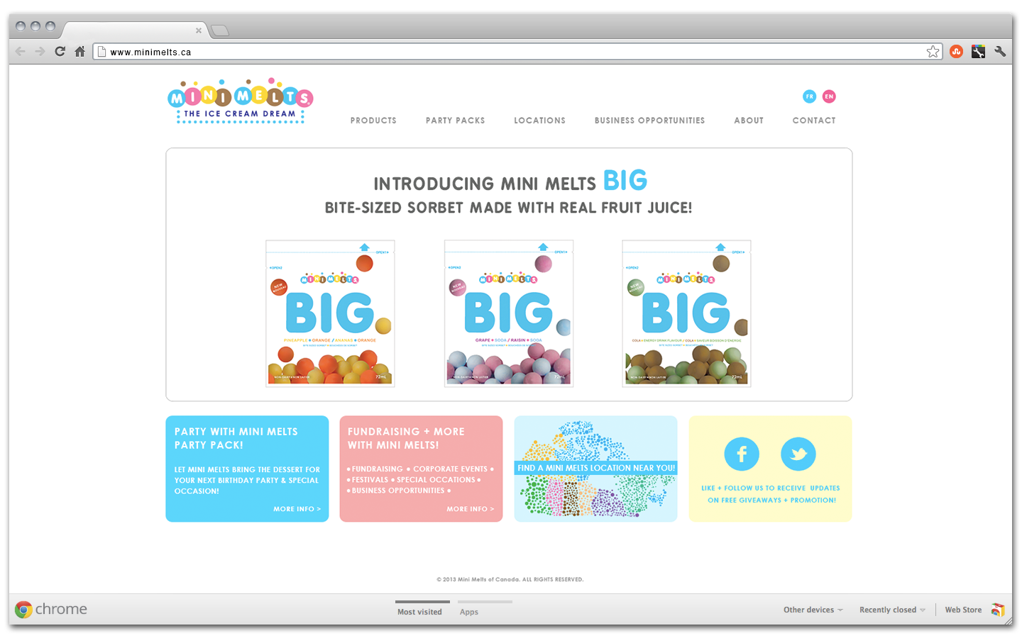 Mini Melts Ice Cream - Canada - joycepan