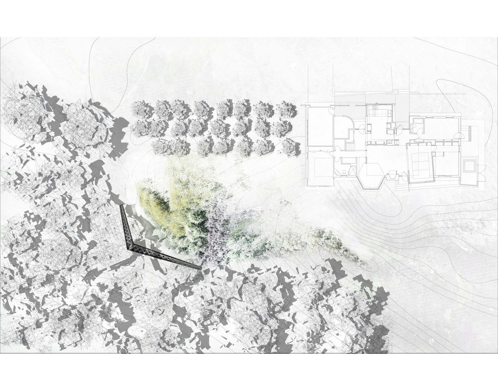 Ply Architecture - Andrew Wolking Design