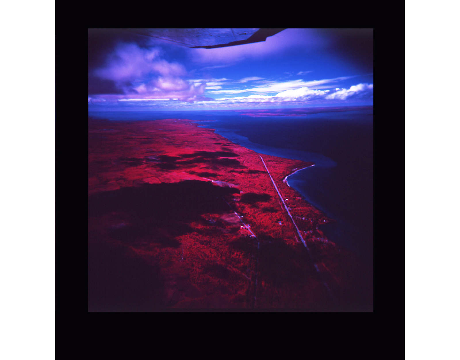 Infrared Film - Andrew Wolking Design