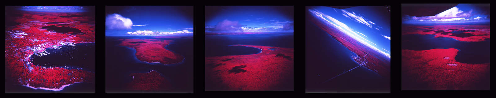 Infrared Film - Andrew Wolking Design