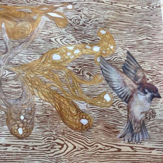 Kindred - Artworks by Kate Gorrie