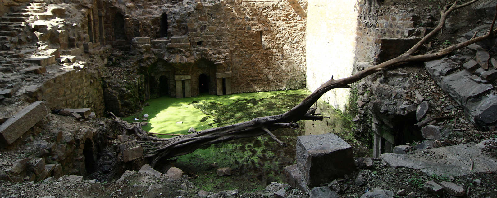 FORERUNNER - sahej rahal