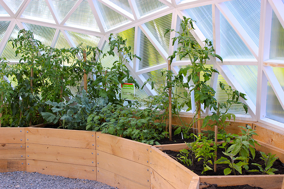 BREWER PARK BIO-DOME - Kaveh Baradaran