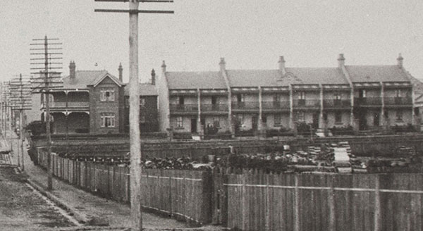 Camperdown Park - Squid Ink