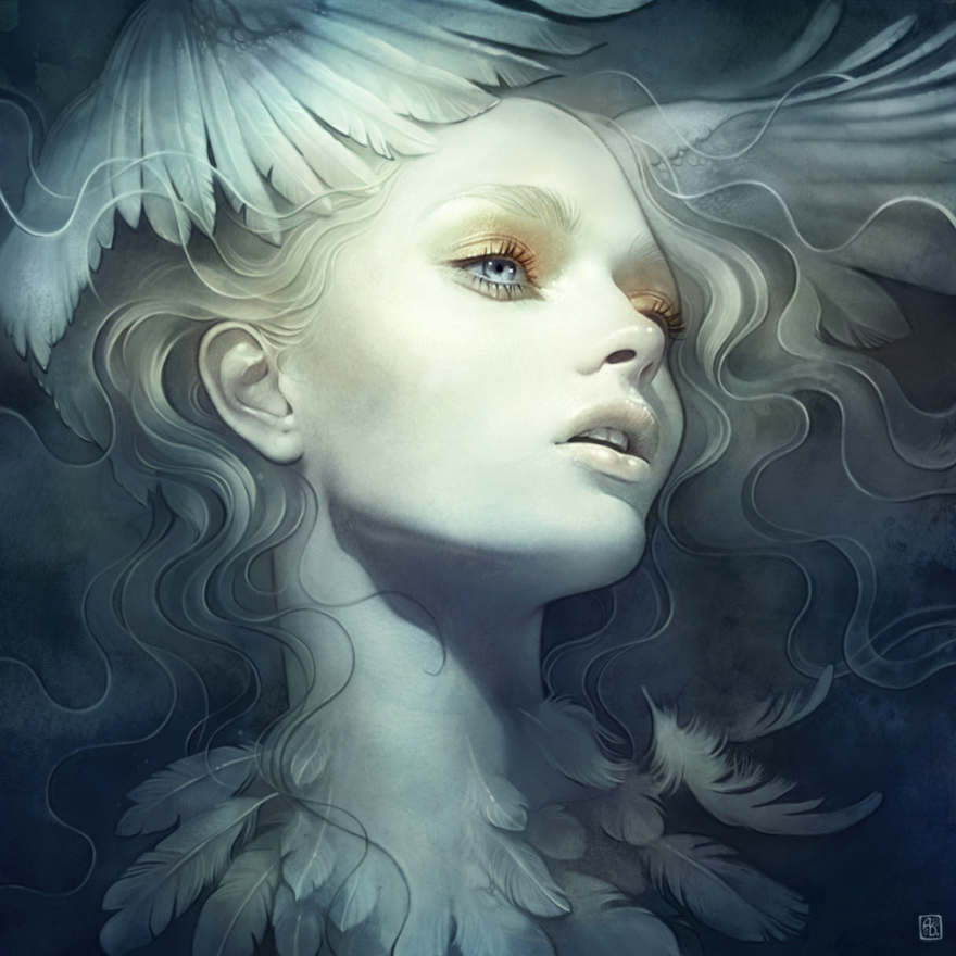 Anna Dittmann · Illustration