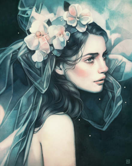 STORE - Anna Dittmann · Illustration