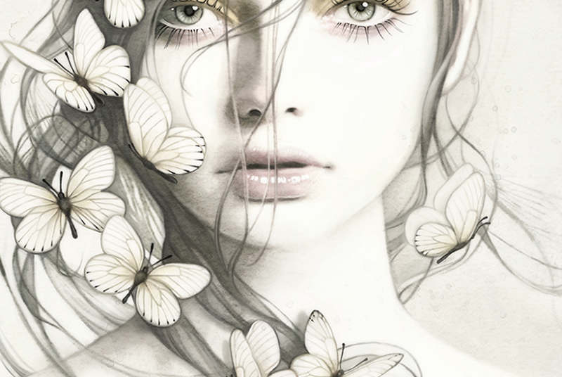 Anna Dittmann · Illustration