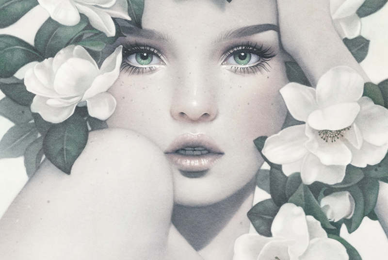 Anna Dittmann · Illustration