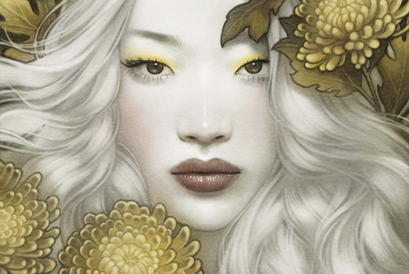 Anna Dittmann · Illustration