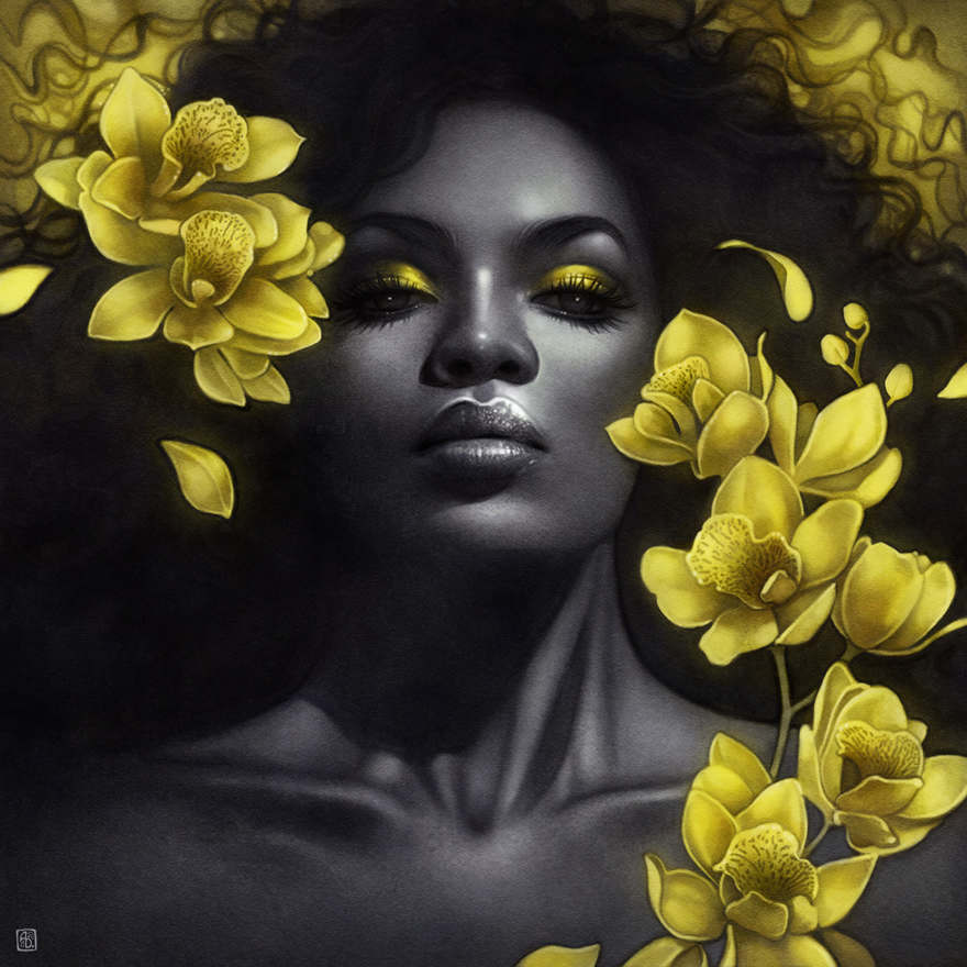 Anna Dittmann · Illustration