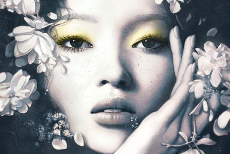 Anna Dittmann · Illustration