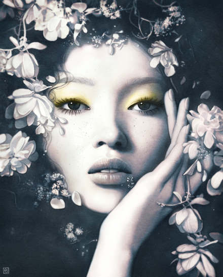 Anna Dittmann · Illustration