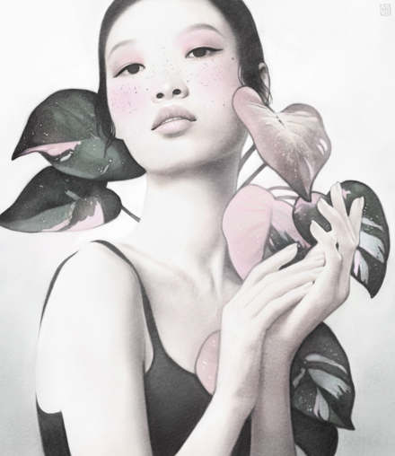 Anna Dittmann · Illustration