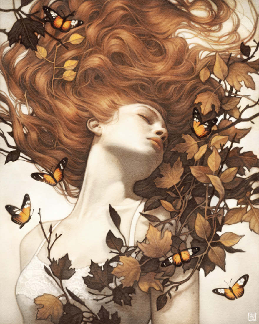 Anna Dittmann · Illustration