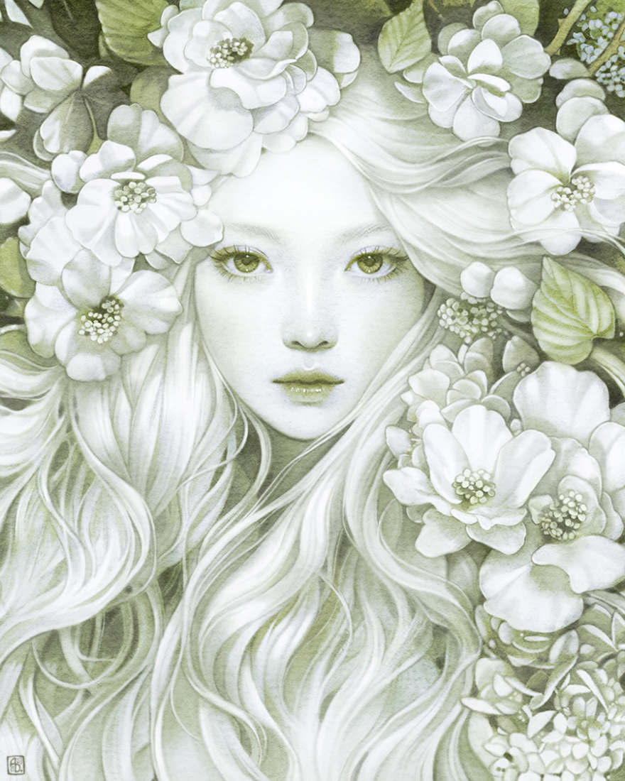 Anna Dittmann · Illustration