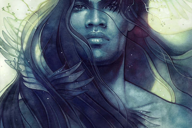 Anna Dittmann · Illustration