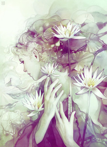 Anna Dittmann · Illustration