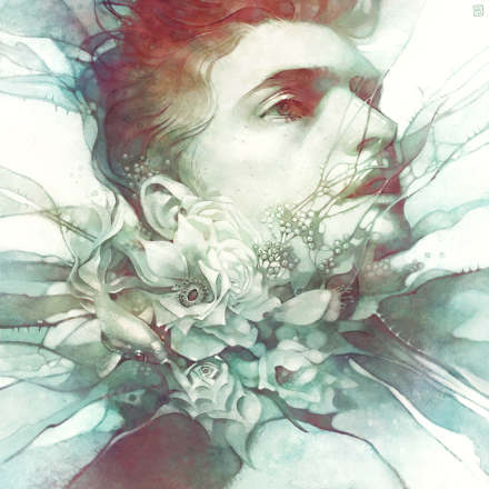 Anna Dittmann · Illustration