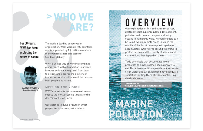 Save The Ocean, Save Yourself Campaign - Jesse Estanes