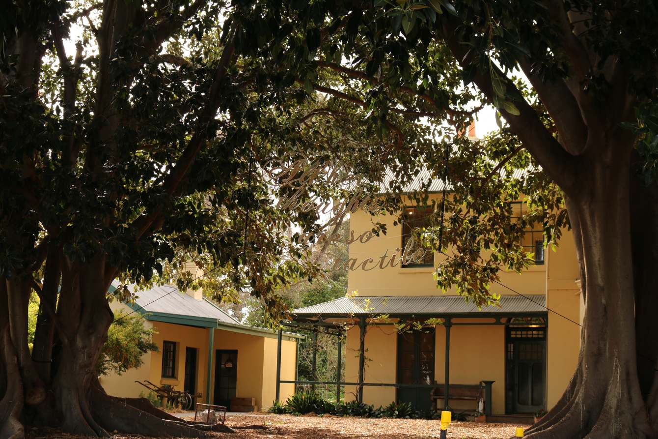 2016 | All her thoughts are so tactile - Thea Jones