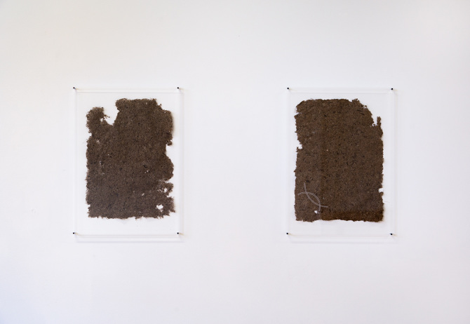 2017 | Everything Spring - Thea Jones