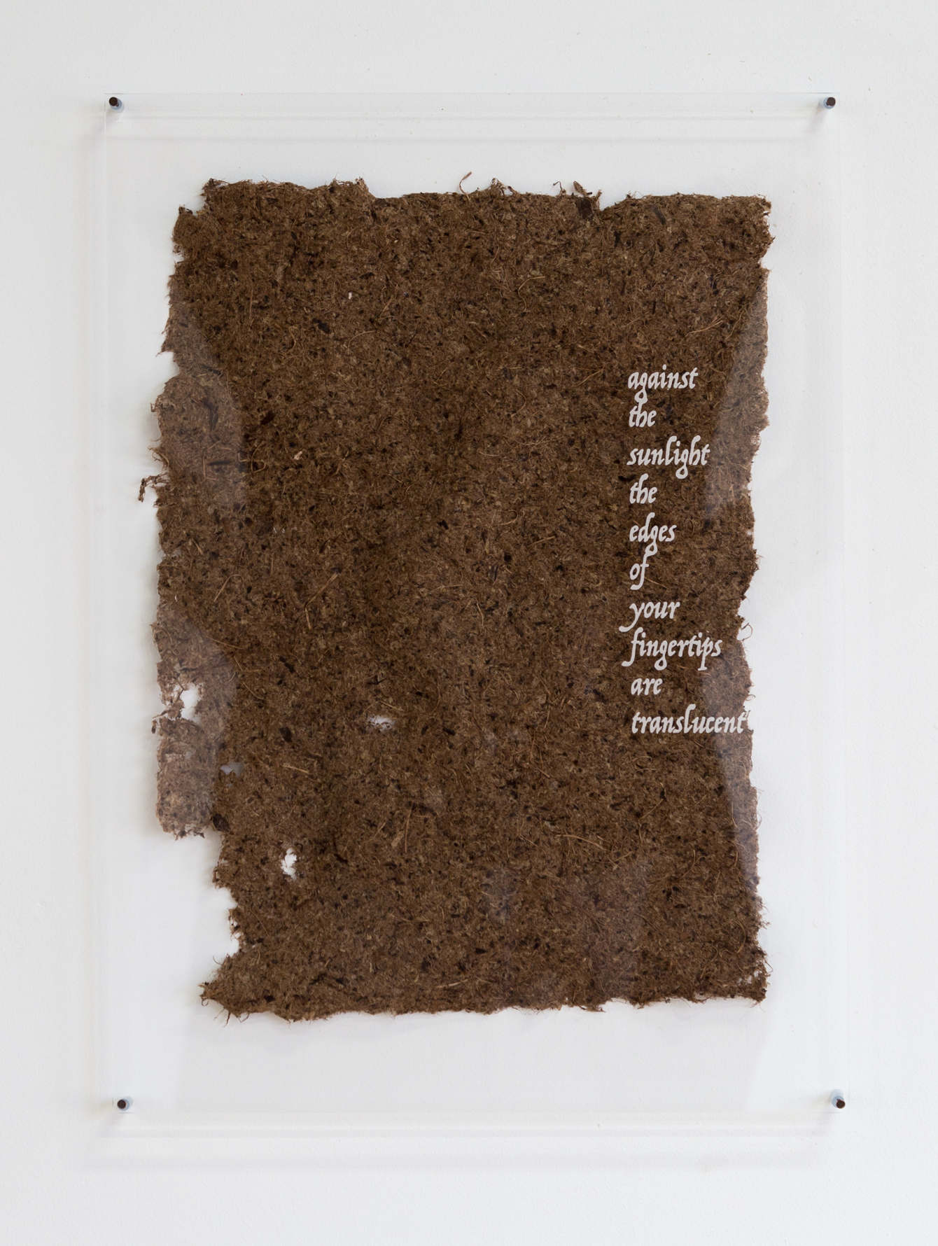 2017 | Everything Spring - Thea Jones