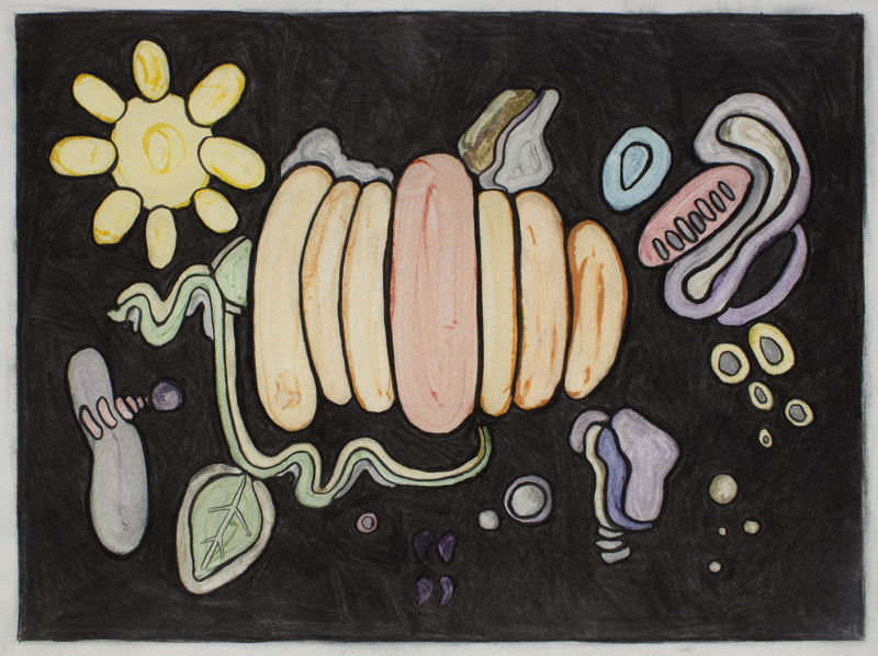 Monotype Symbols - Todd Stong