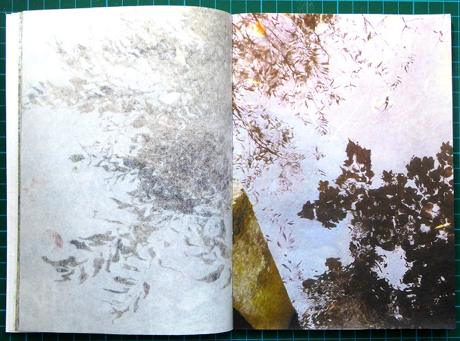 Elmbridge Meadows - janecradock-watson.com