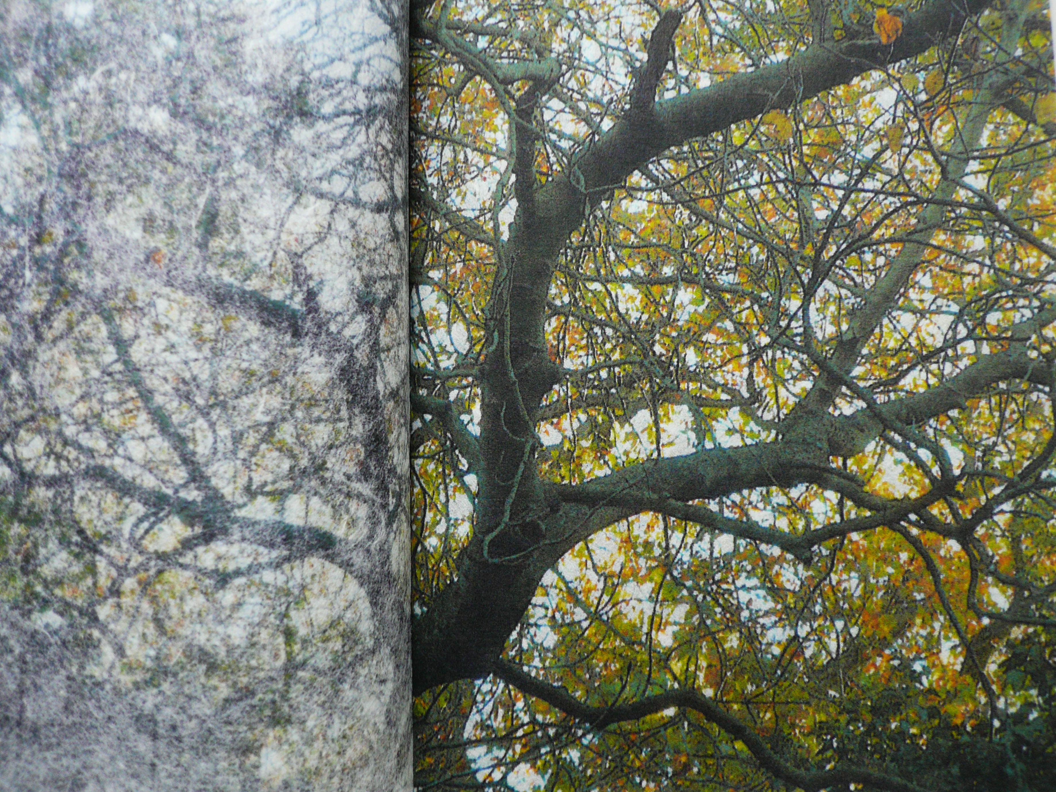 UP - janecradock-watson.com