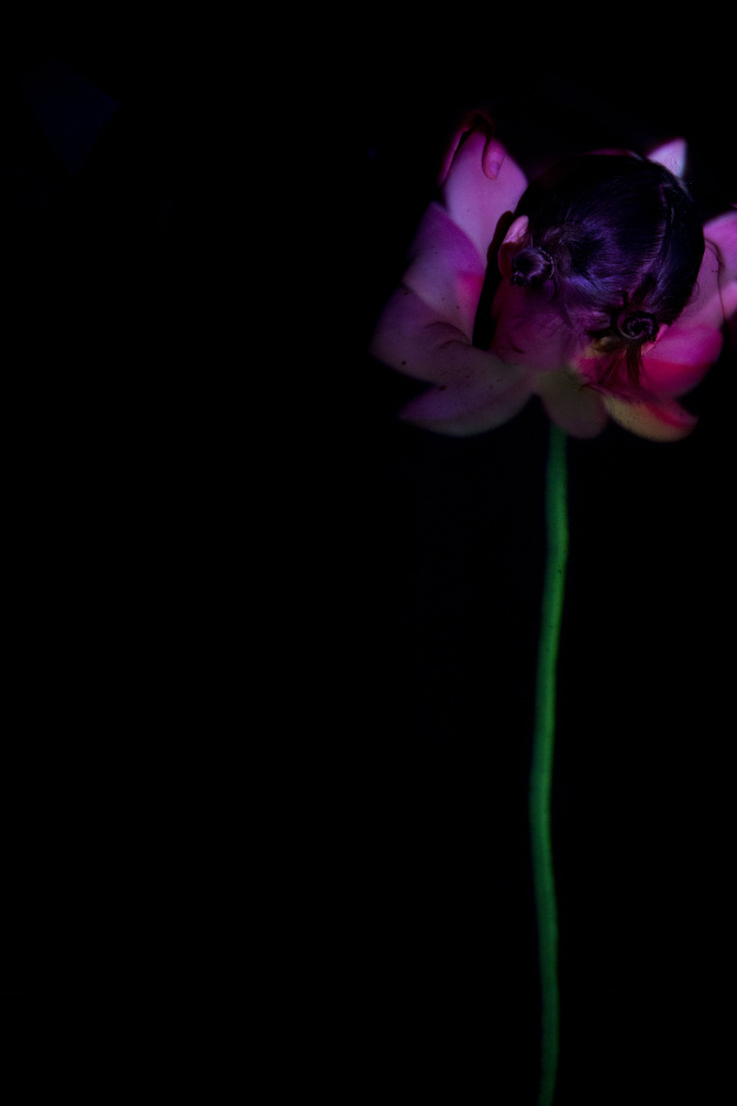 PROJECTION (FLOWER) - Hanako M. Suzuki