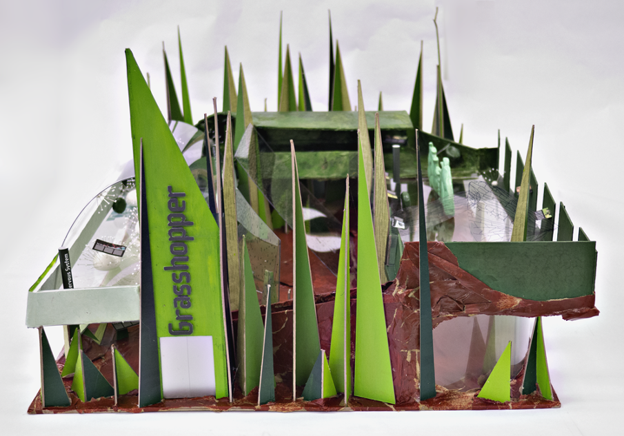 Grasshopper Anatomy Exhibit - Claire Niederberger