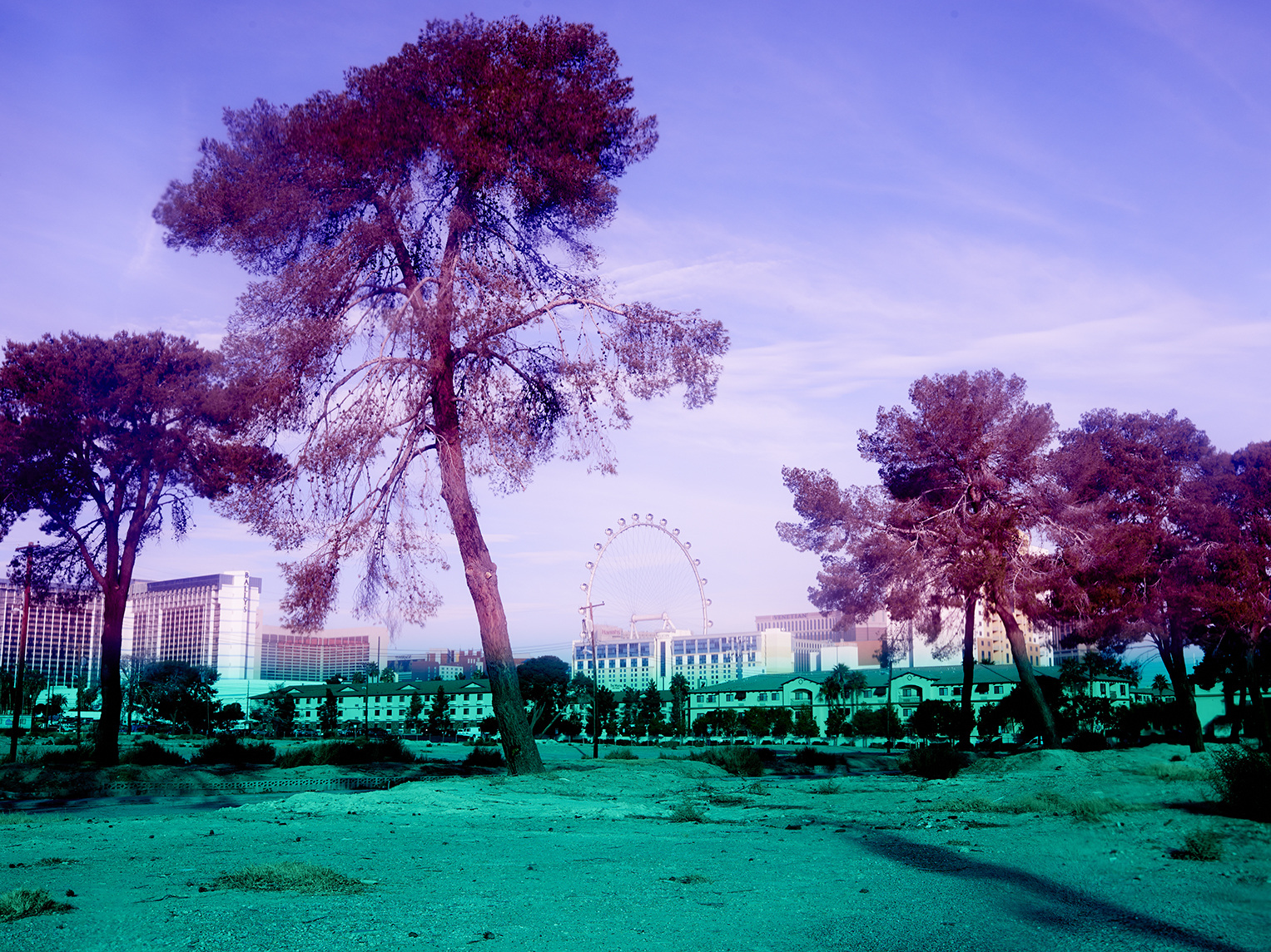 A Corrupt Nature - Maciek Jasik Photography