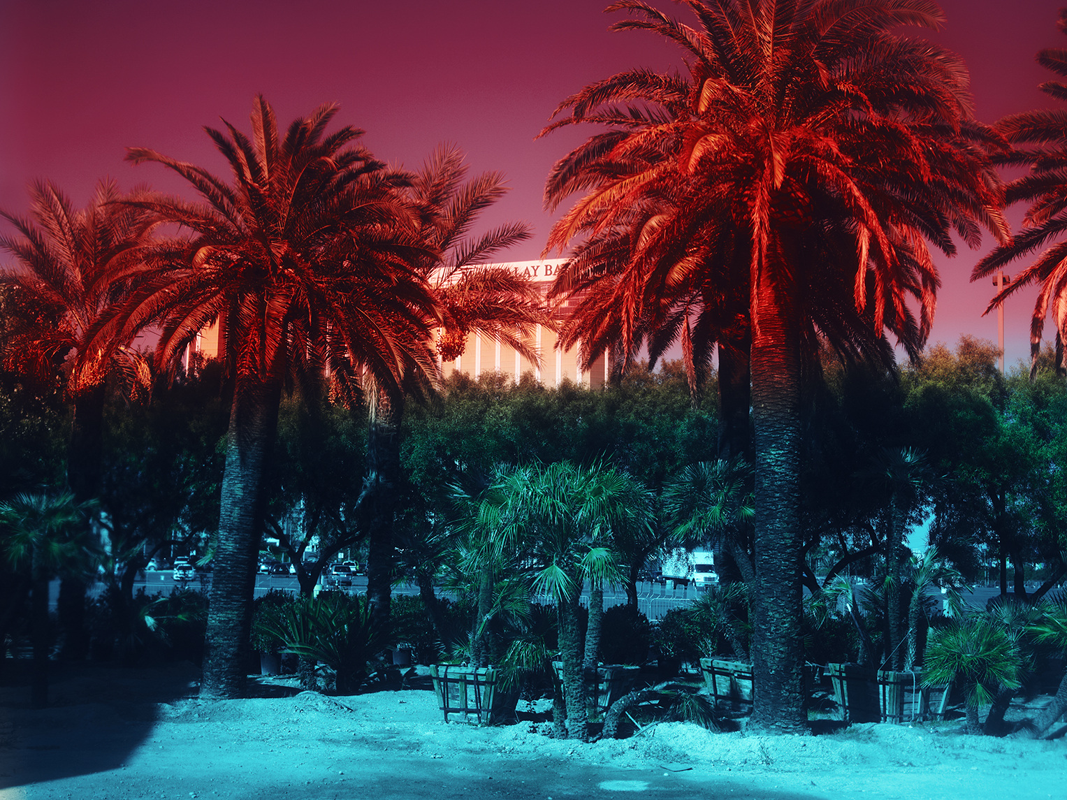 A Corrupt Nature - Maciek Jasik Photography