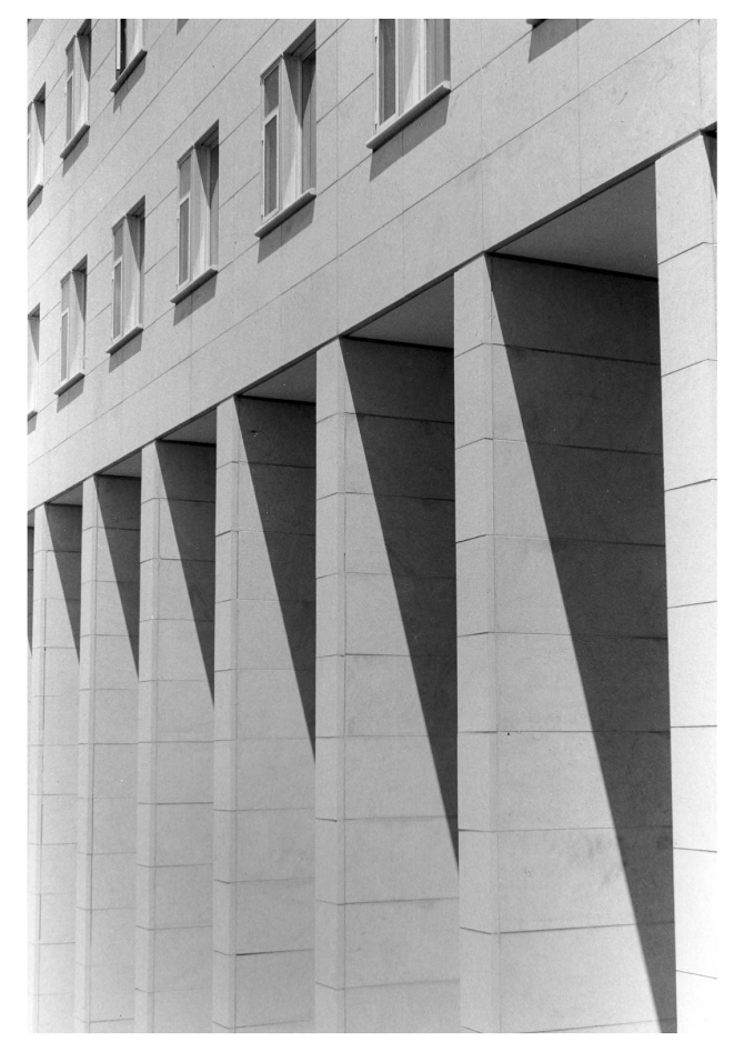 Negative Space and the Architectonic - Therese Noonan