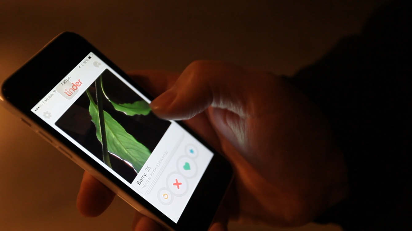 exhibition - tegabrain