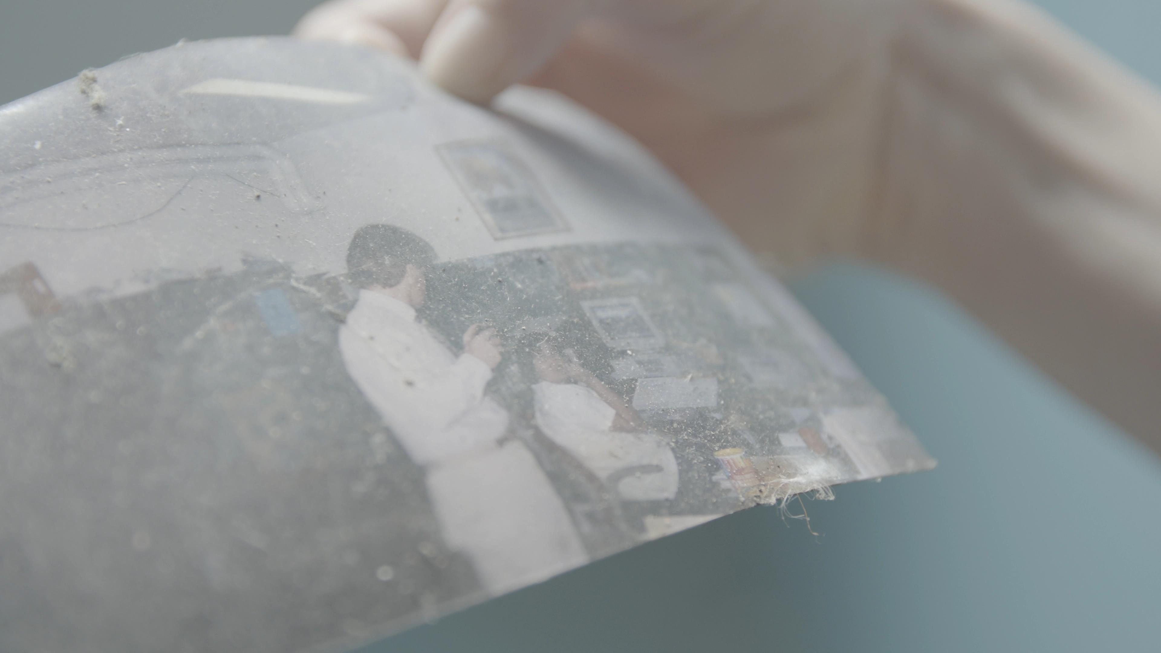 Sacrifice Zone - tegabrain