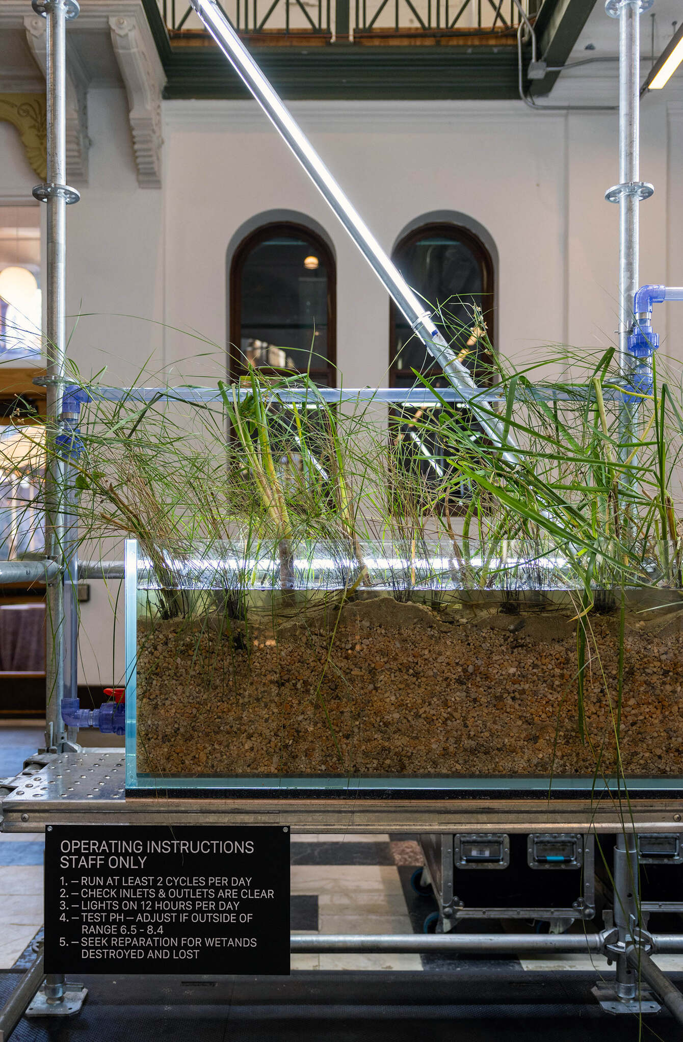 Coin-Operated Wetland (2021) - tegabrain