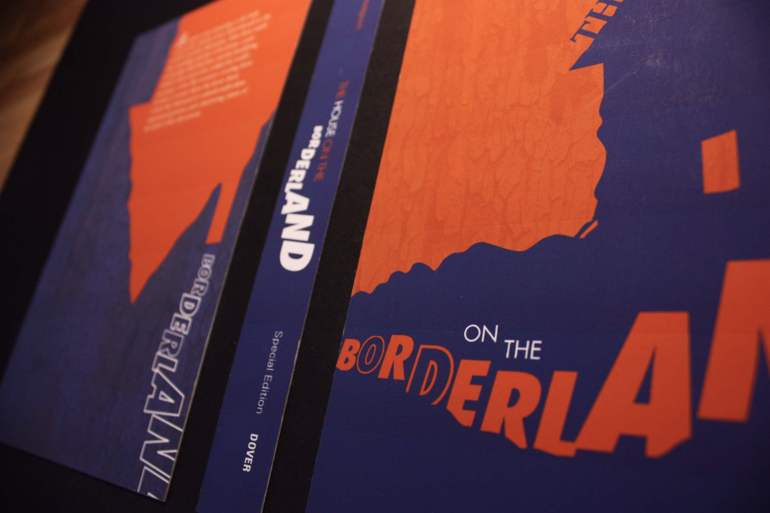 The House on the Borderlands: Book Cover - flat design