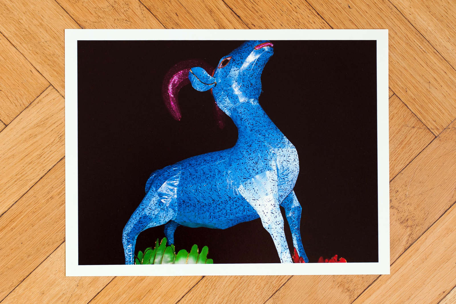 Alexander Bondar - Cat's Eye - Untitled#1, 2015 ed. 75 - Zoopark ...