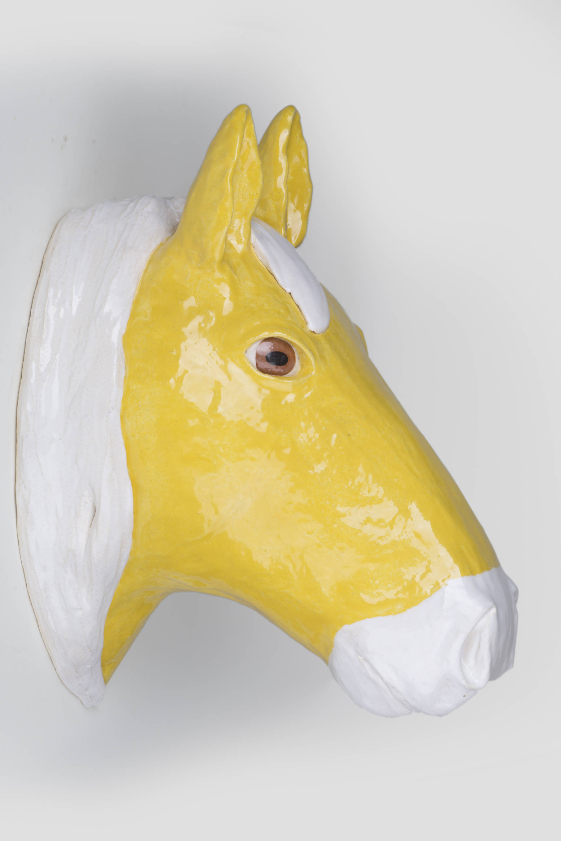 animal heads - Lorien Stern