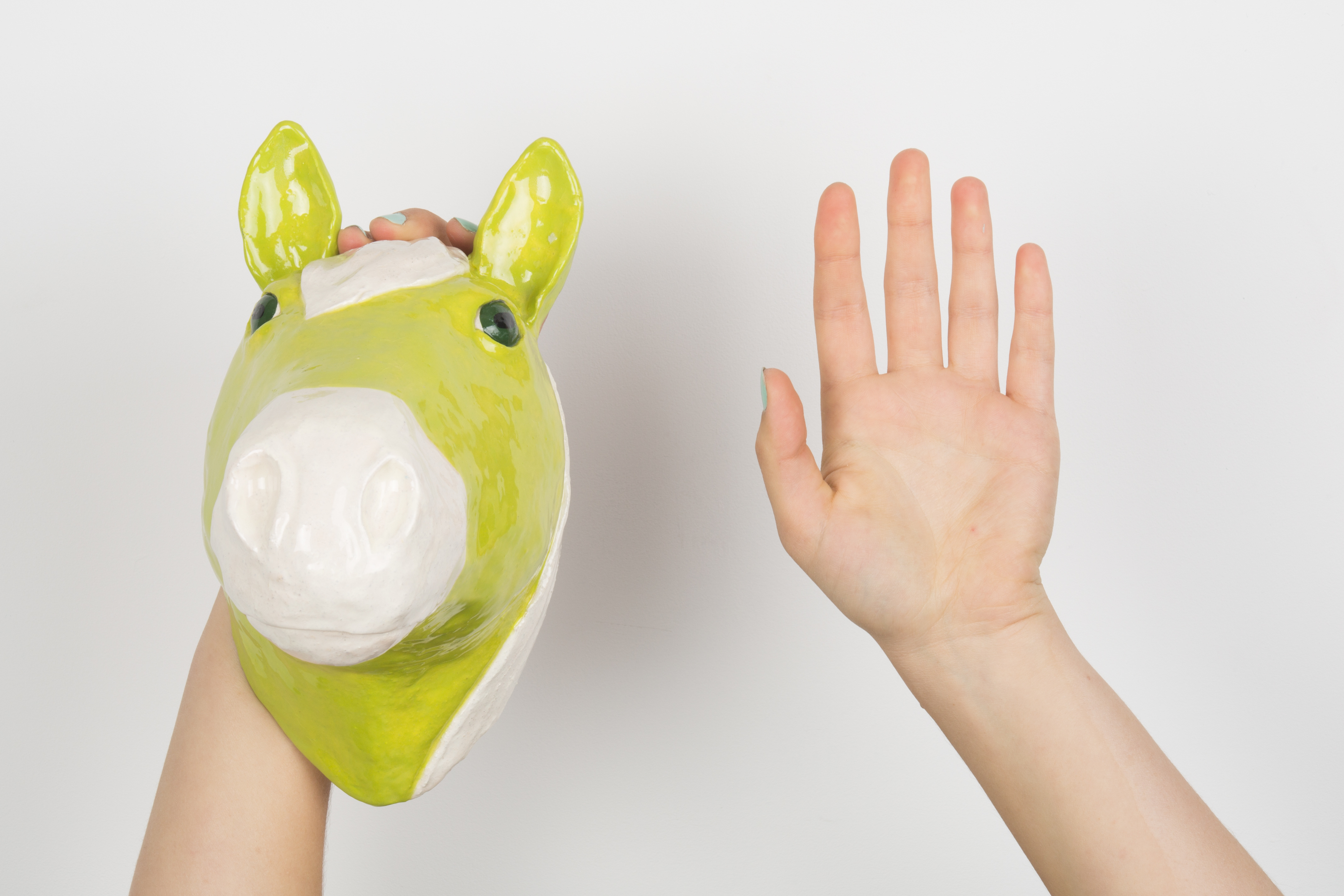 animal heads - Lorien Stern