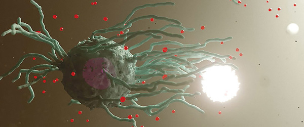 lupus - films, vfx and animation