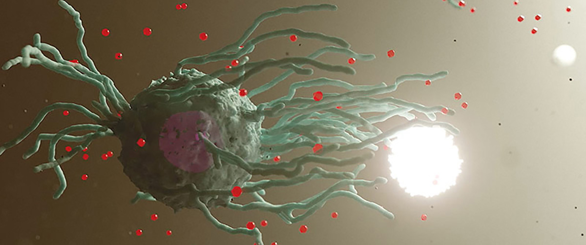 lupus - films, vfx and animation