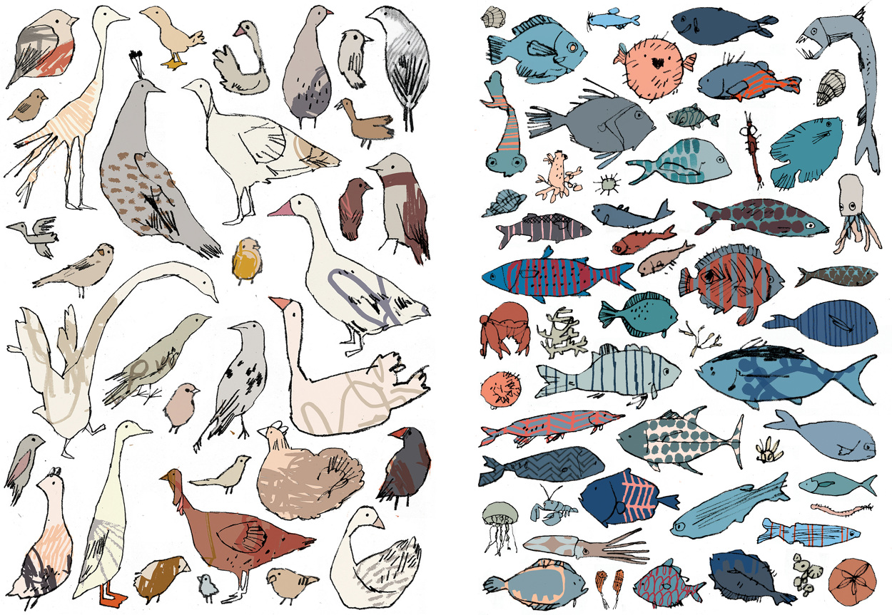 Drawing collections - Hannah Coulson