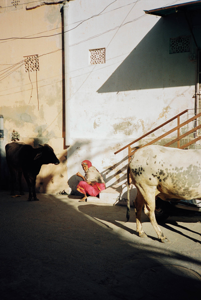 india - Isabel McCabe Photography