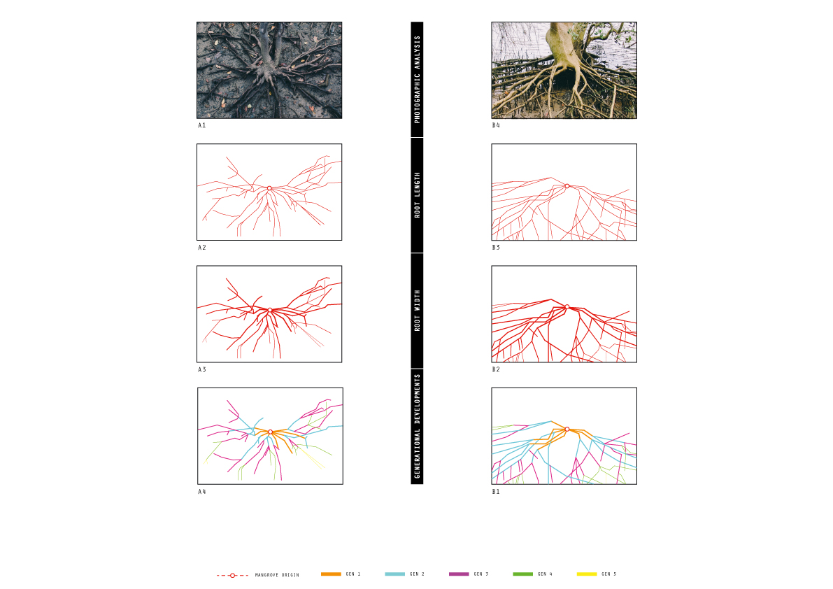 Mapping and Diagramming - Matthew Sikora